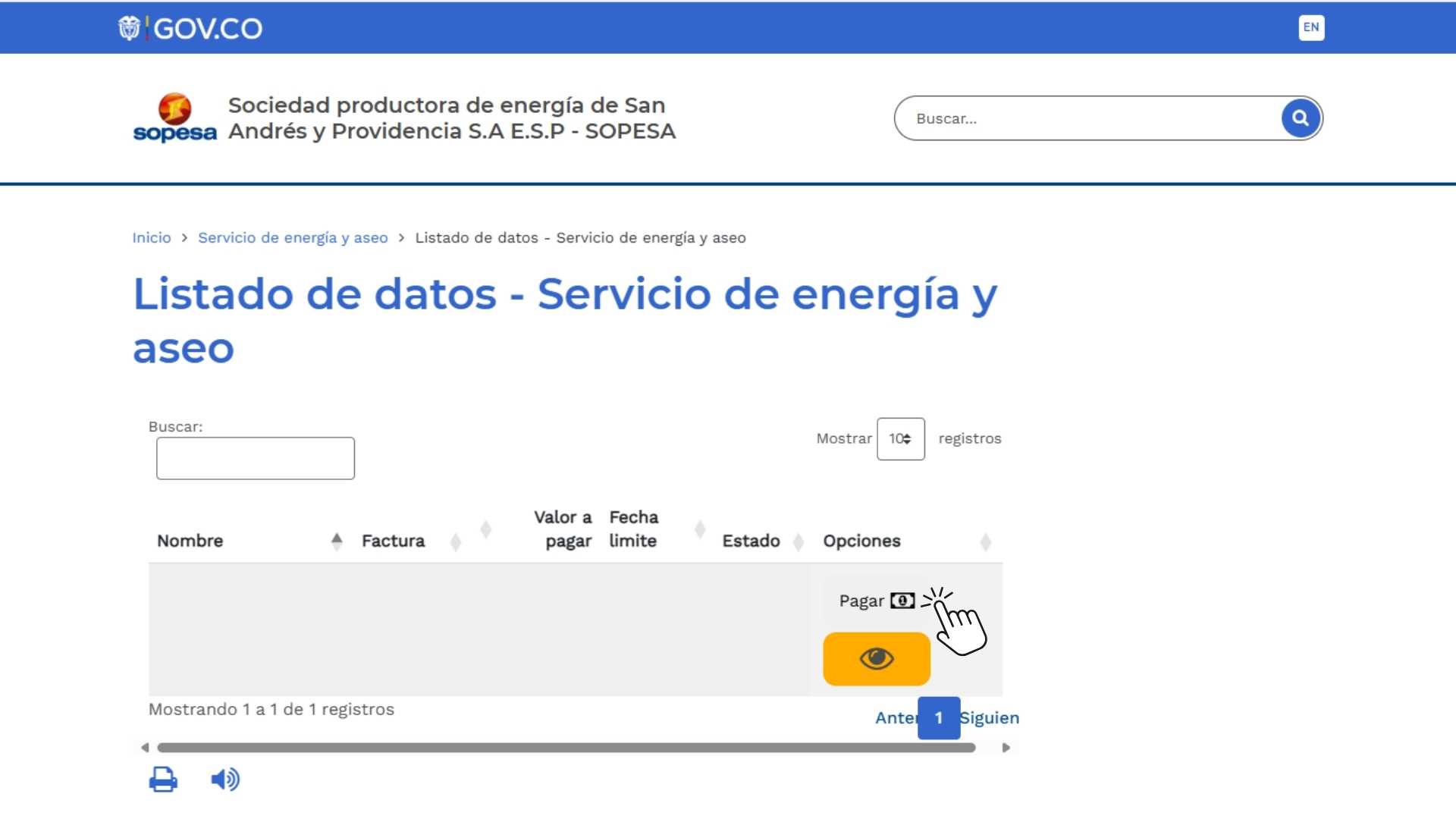 Instructivo pago electrónico - SOPESA ESP